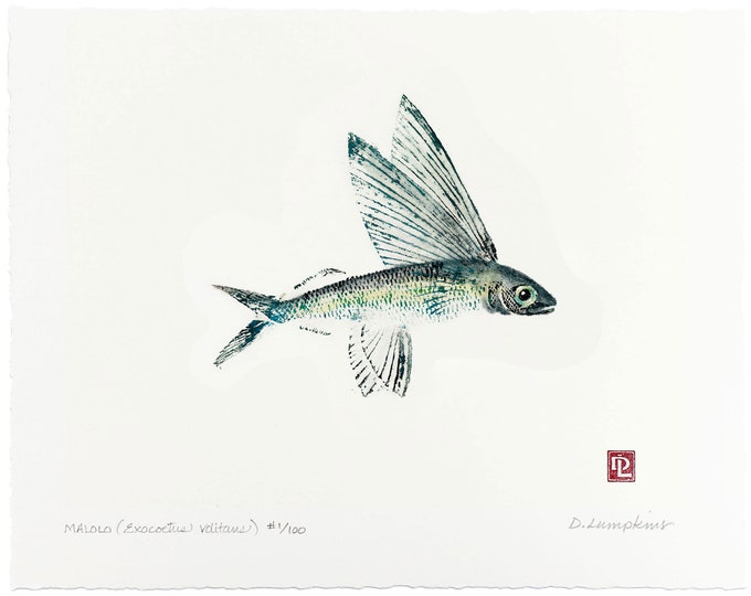 Gyotaku Fish Print Malolo Flying Fish Limited Edition Art by Maui ...