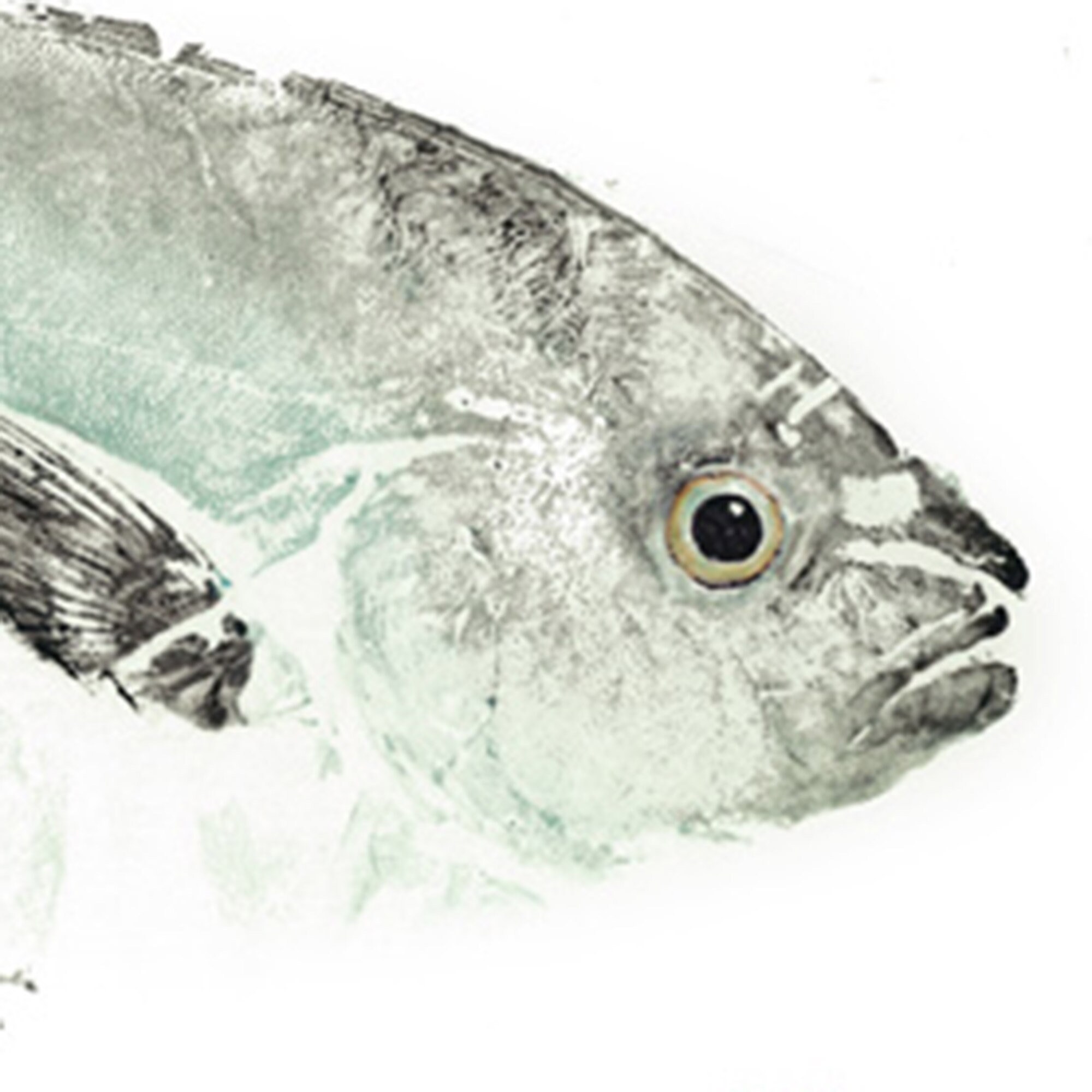 Gyotaku Fish Print - Ulua - Limited Edition Art by Maui Artist Debra ...