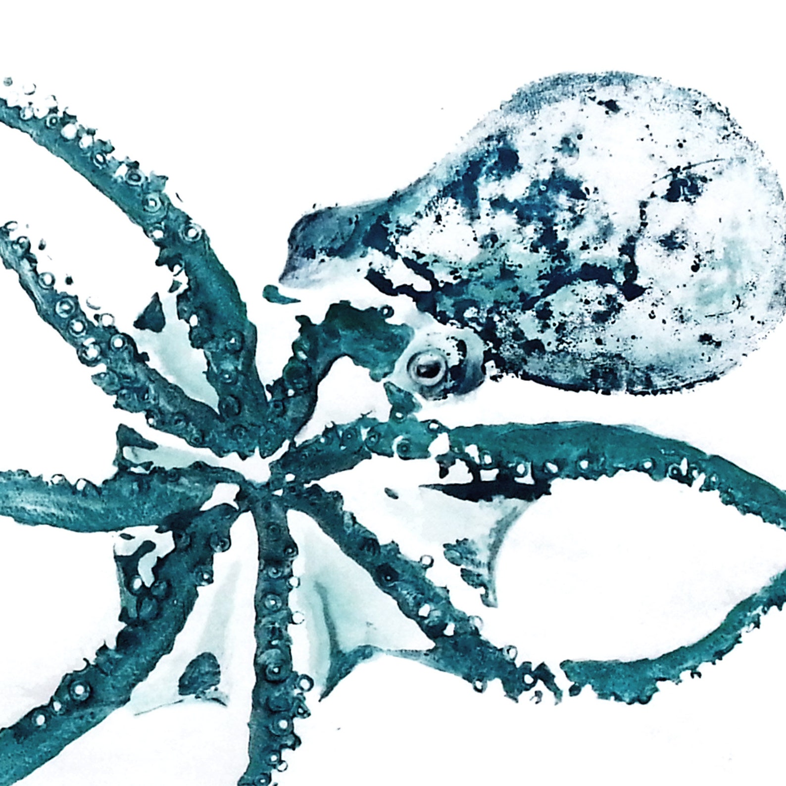 Gyotaku Octopus Art Limited Edition Print by Maui Artist - Etsy UK