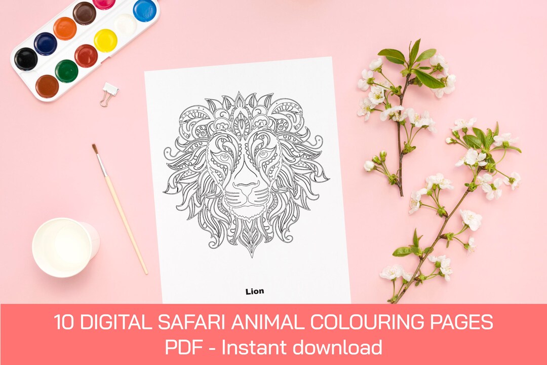 10 Safari Animal Colouring Digital Pages Instant Download Printable ...
