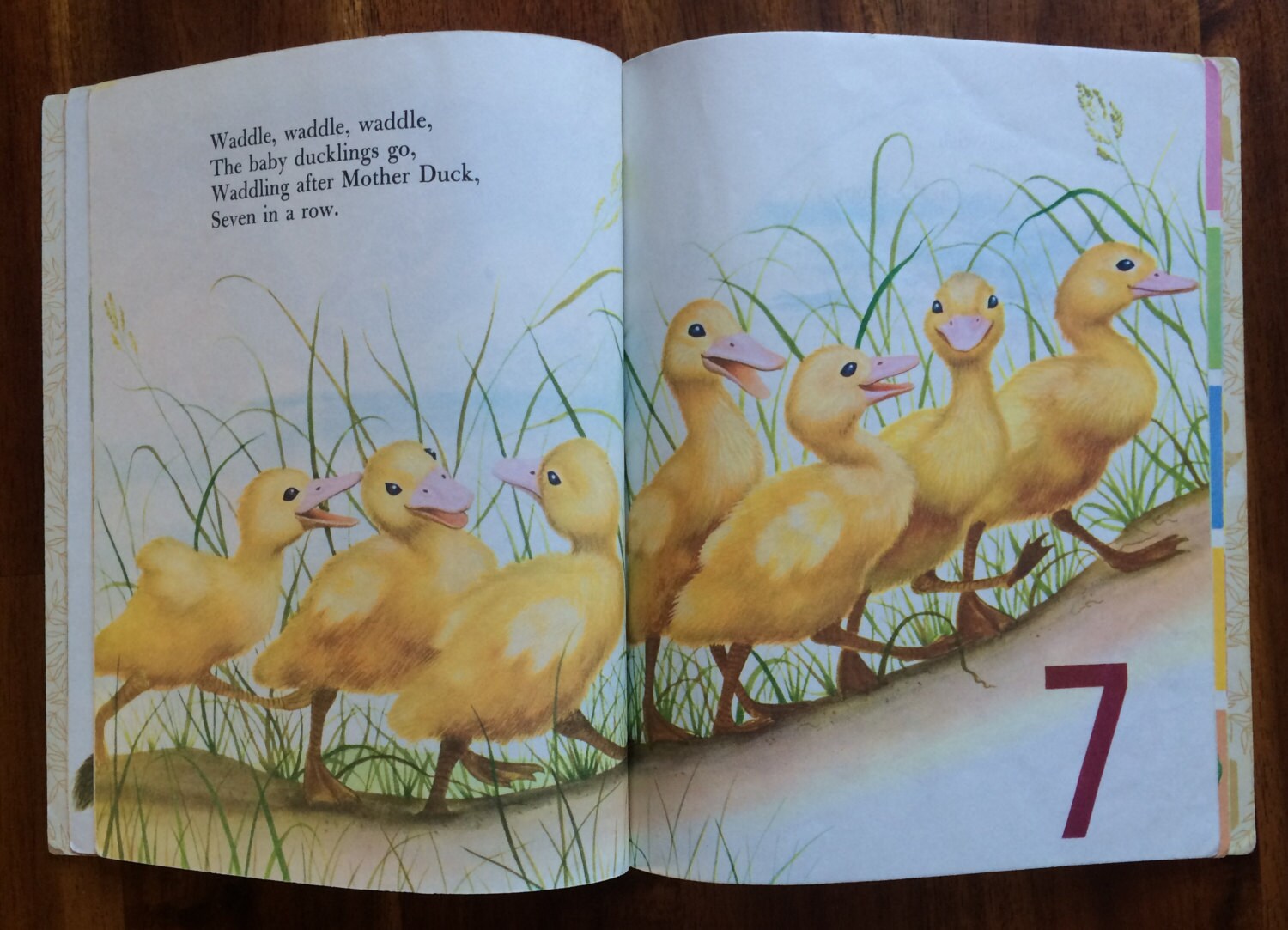 My First Counting Book Vintage Little Golden Book 1957 - Etsy