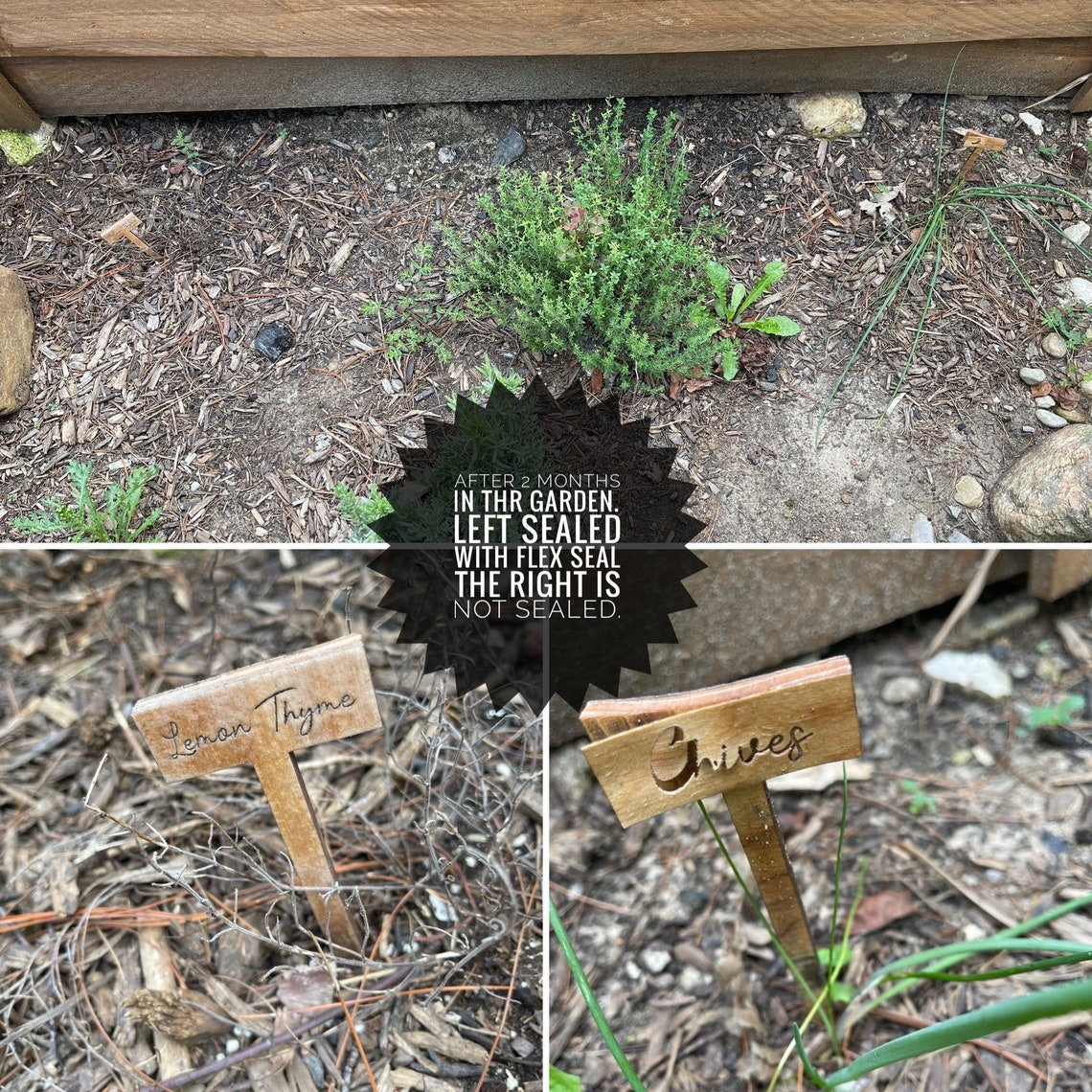 Funny Plant Marker Garden Sign Vegetable Marker Herb - Etsy