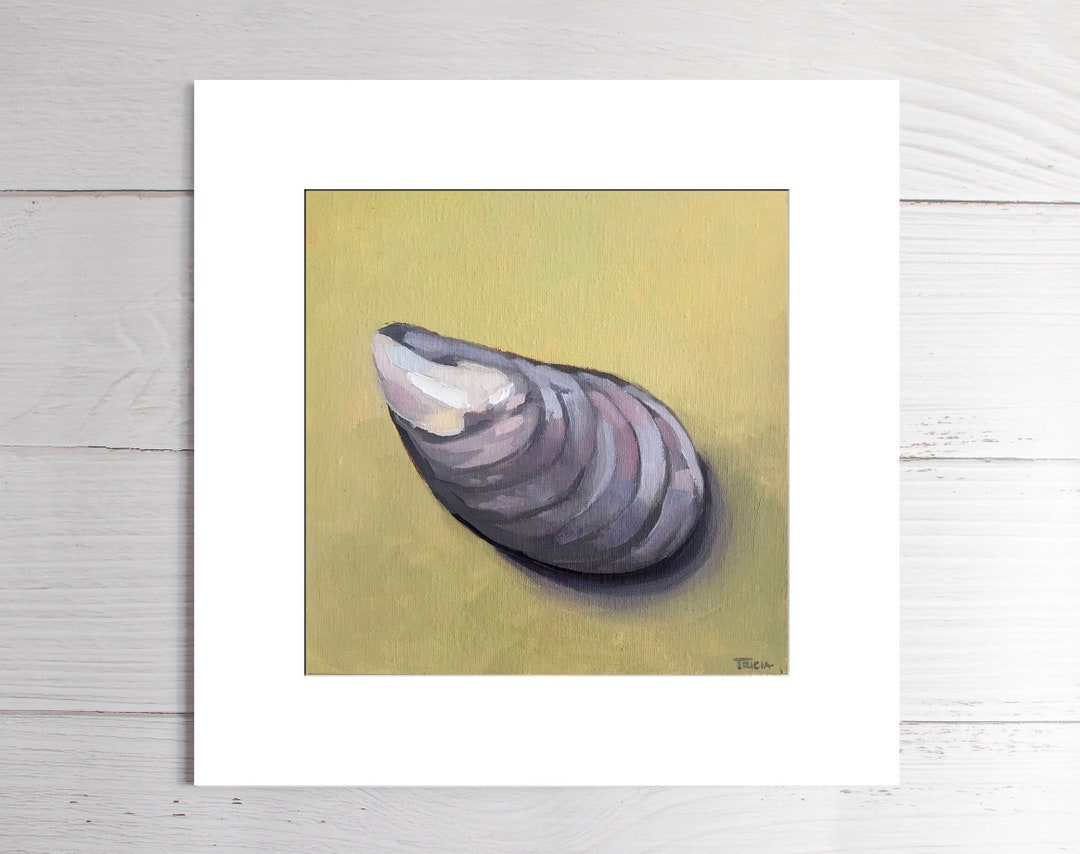 Art Print, Matted Print, Mussel Shell, 8x8, Coastal Art, Square Print ...