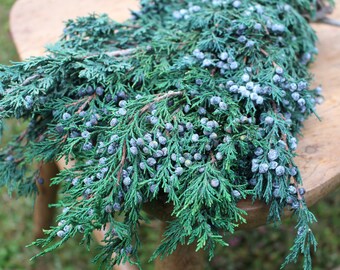 Juniper Home Decor - Etsy