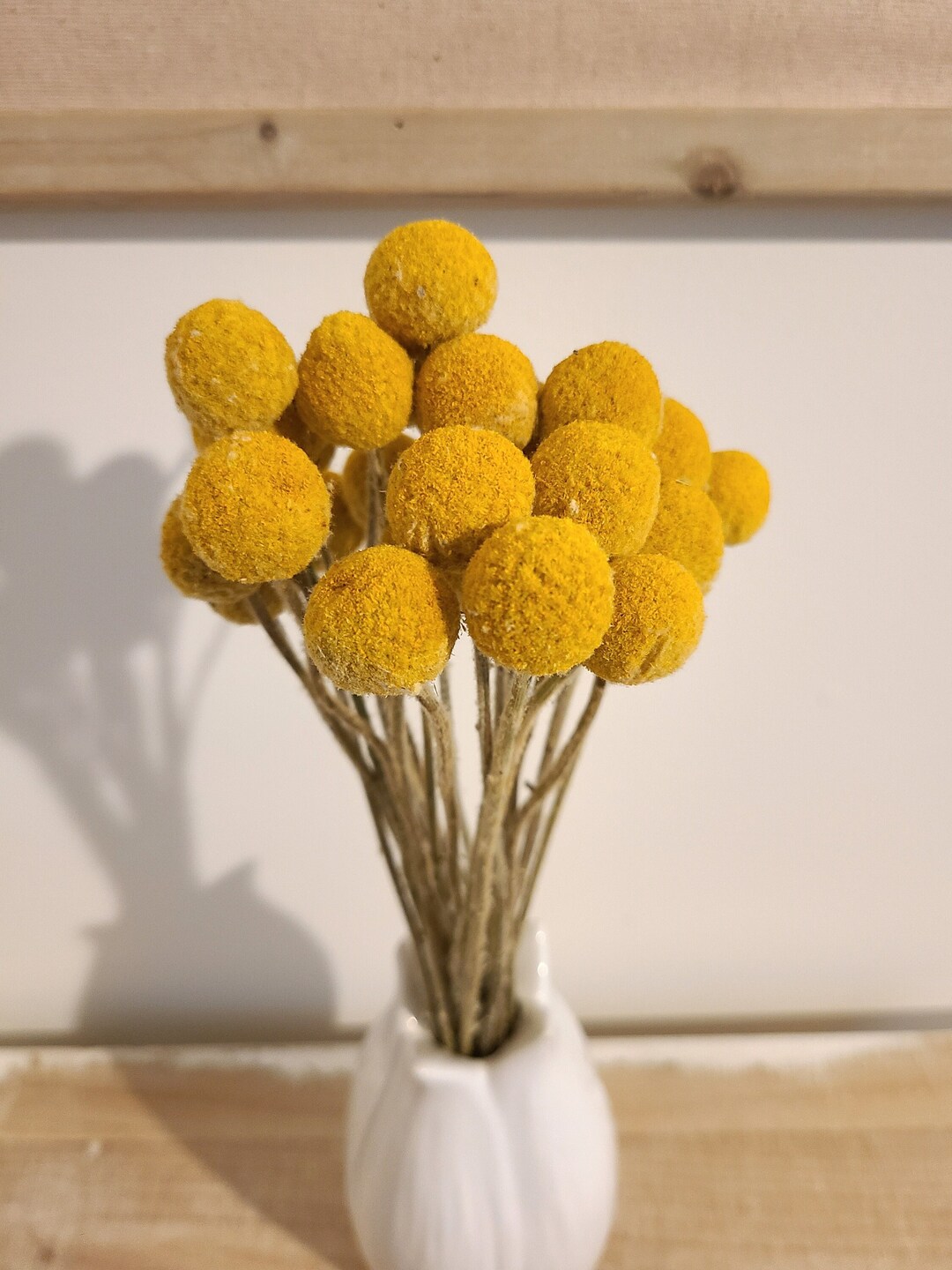 Yellow Dried Billy Balls, Craspedia, Bunch of Craspedia, Dried Yellow ...