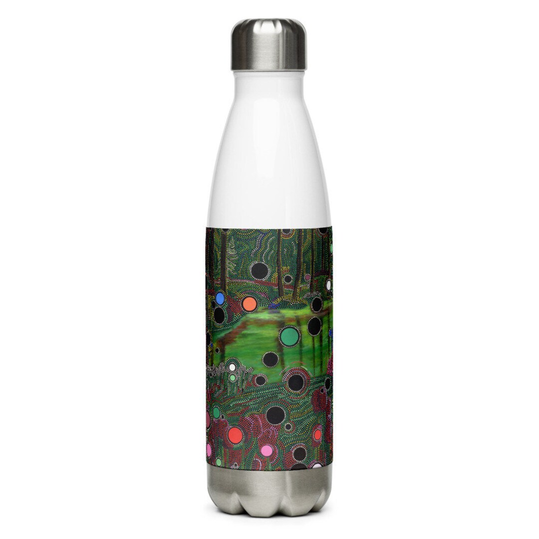 Rust Resistant Stainless Steel Water Bottle - Eco Water Bottle - Cold ...