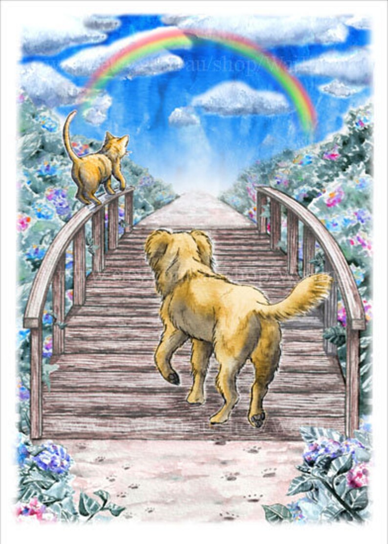 Rainbow Bridge Card: DONATE to Hunter Animal Rescue, Dog and Cat Pet ...