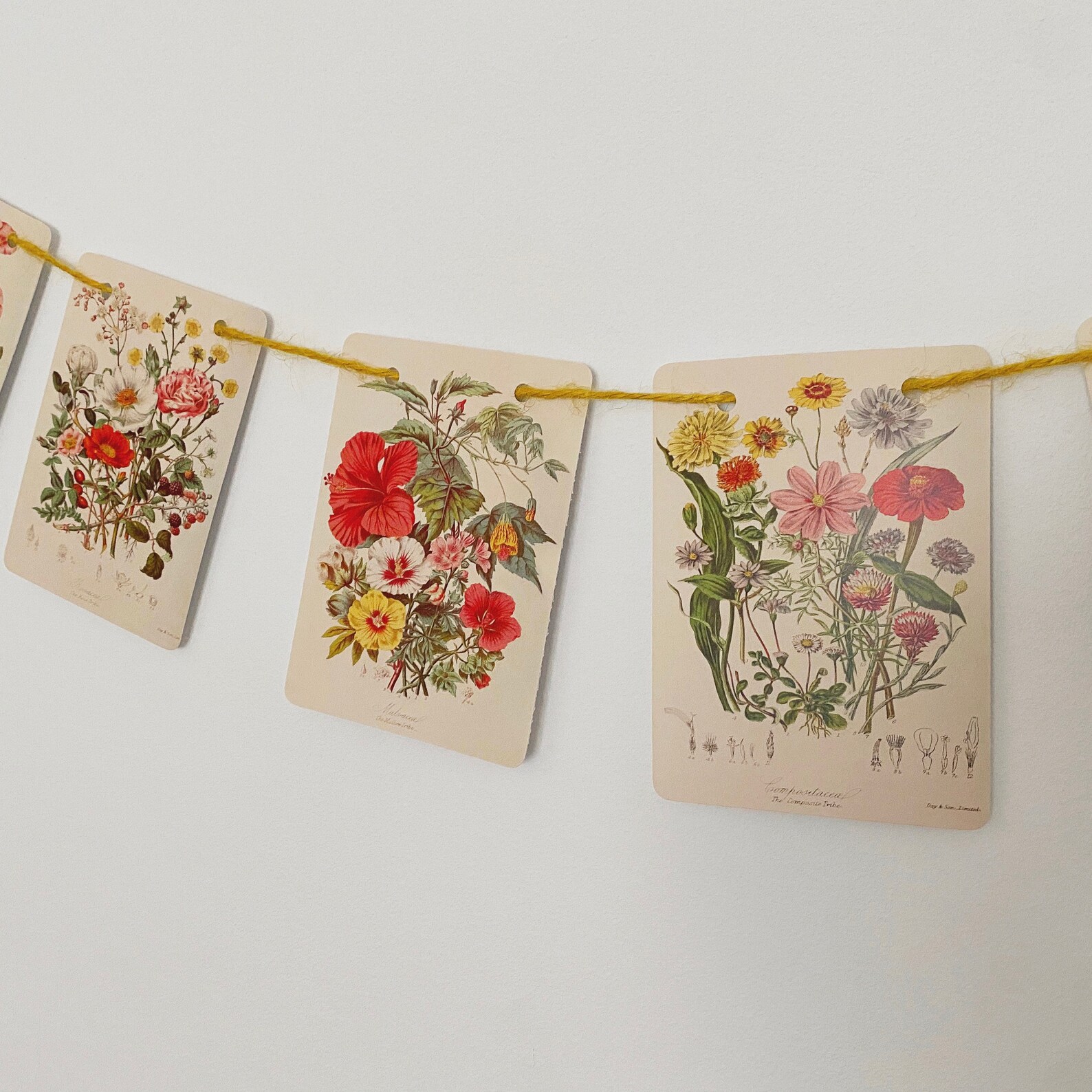 Flower Card Garland Vintage Botanical Illustration Home | Etsy
