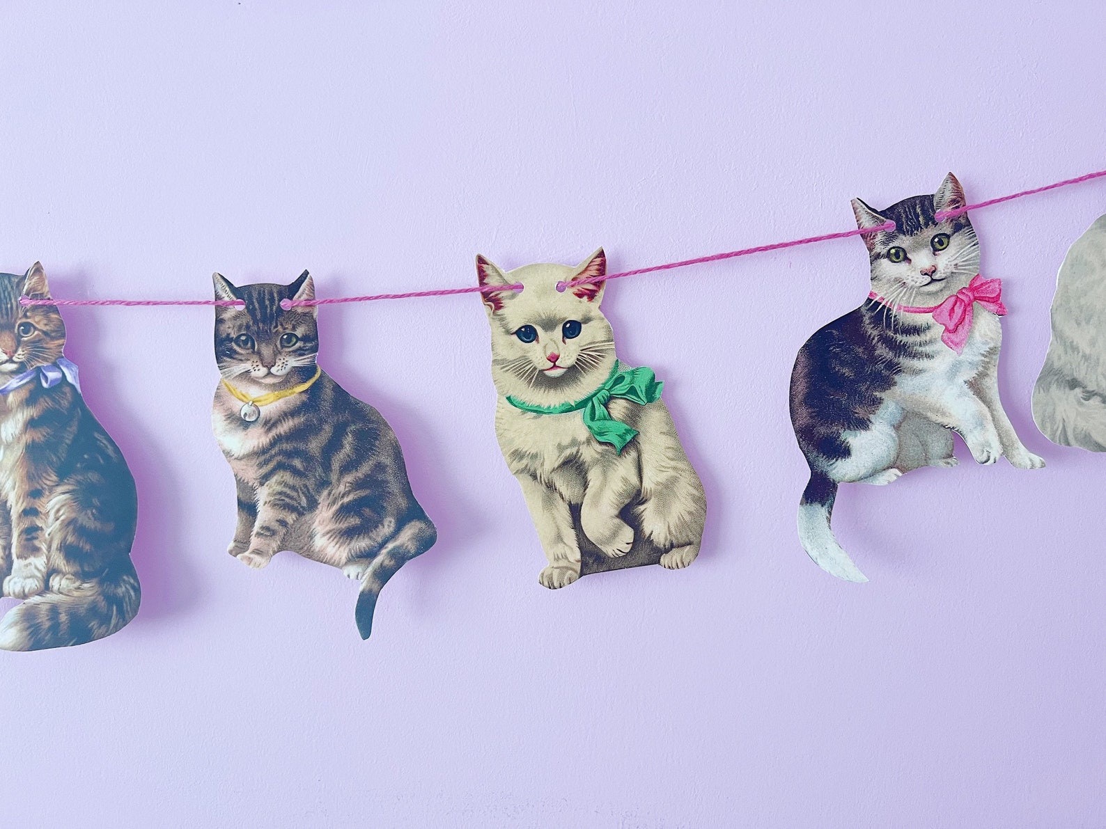 Cat Quirky Bunting Garland Wedding Party Home Crazy Cat Lady Kitten - Etsy