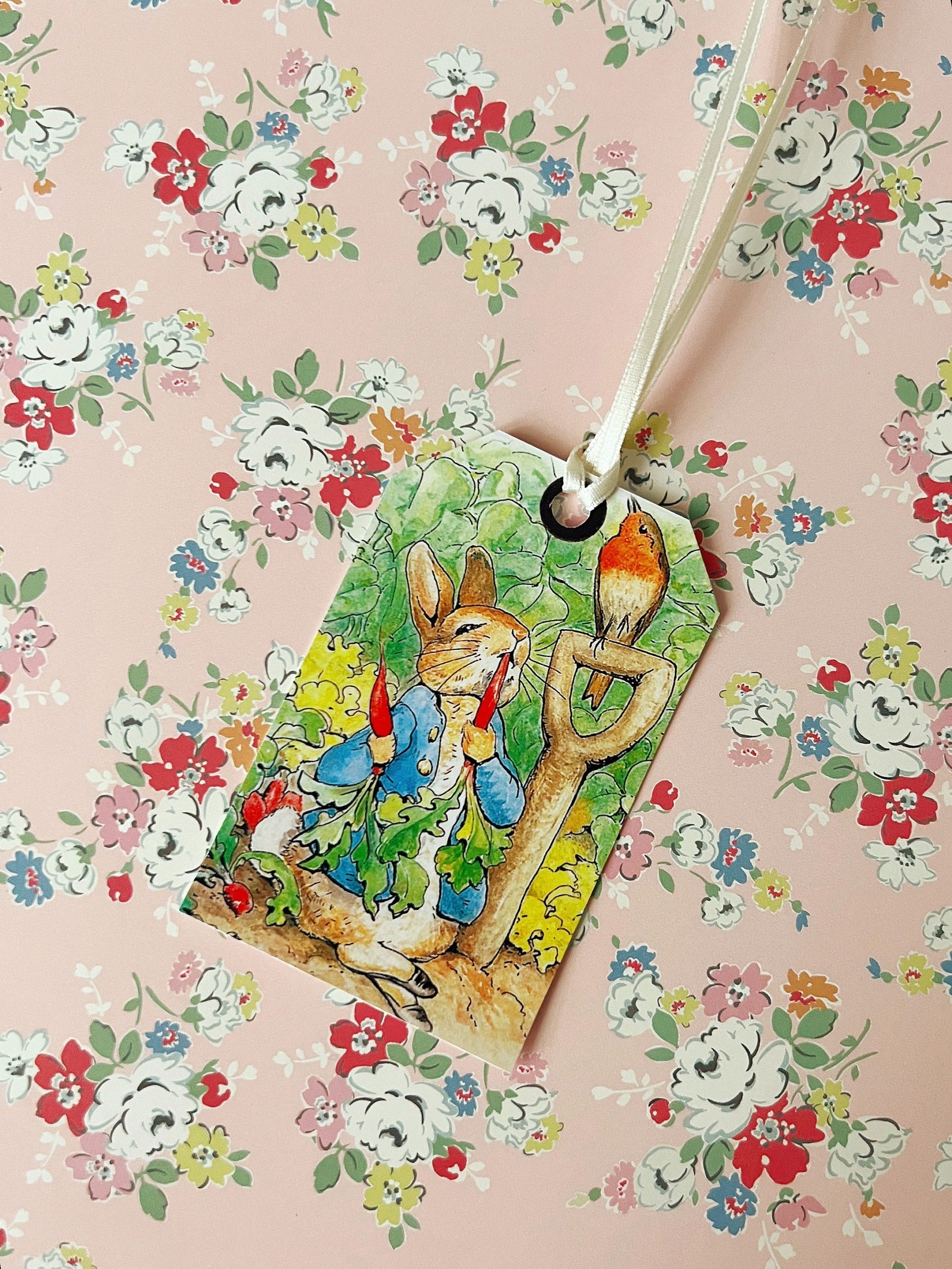 Peter Rabbit Gift Tags - Set of 8 - Beatrix Potter With Ribbon - Etsy