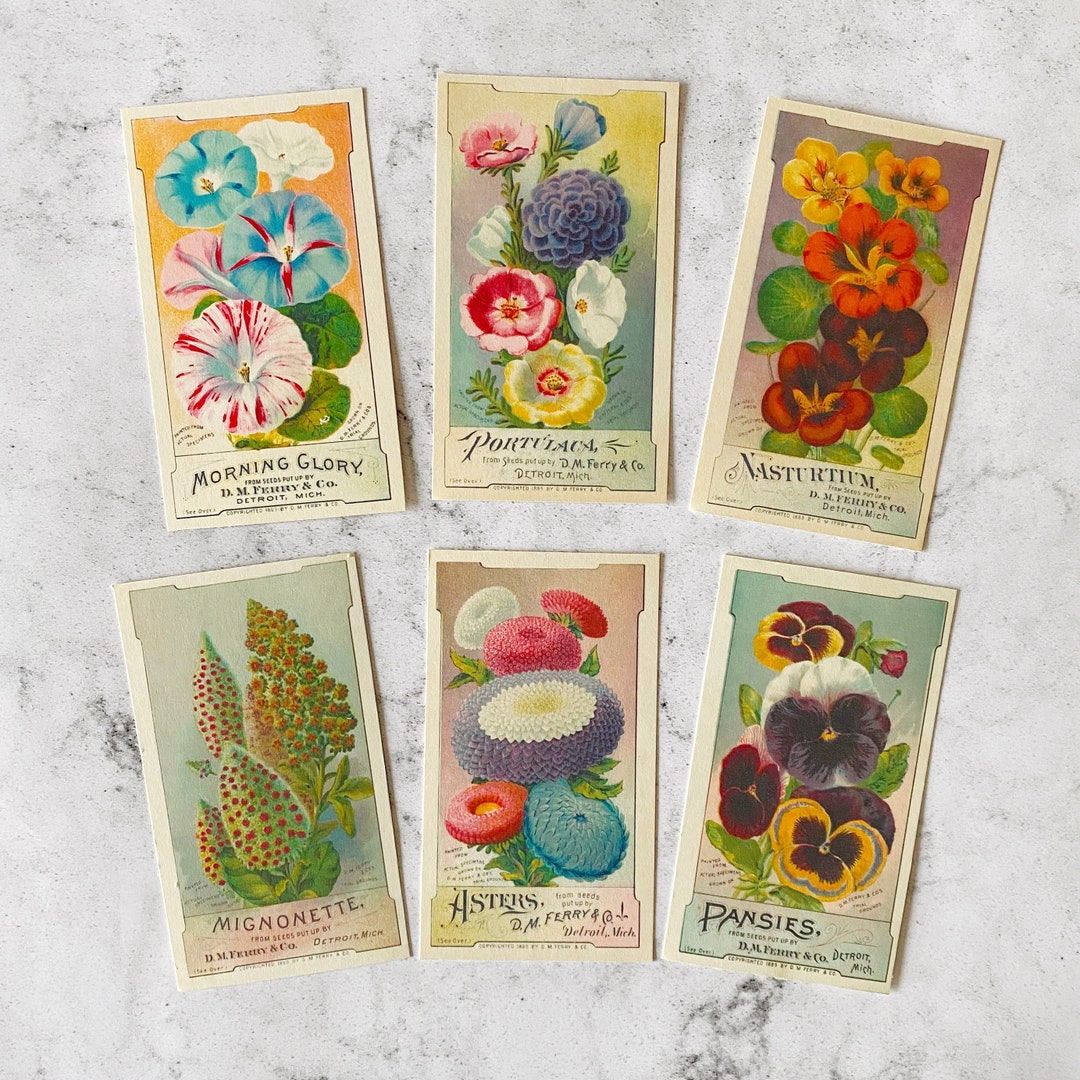Flower Seed Card Toppers Vintage Catalogue Botanical Gift Tags Note ...