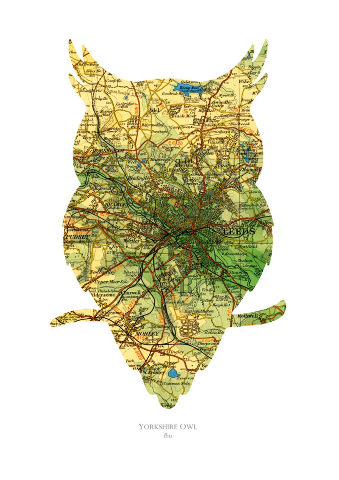 Personalised Vintage Map Owl Art Print - Etsy