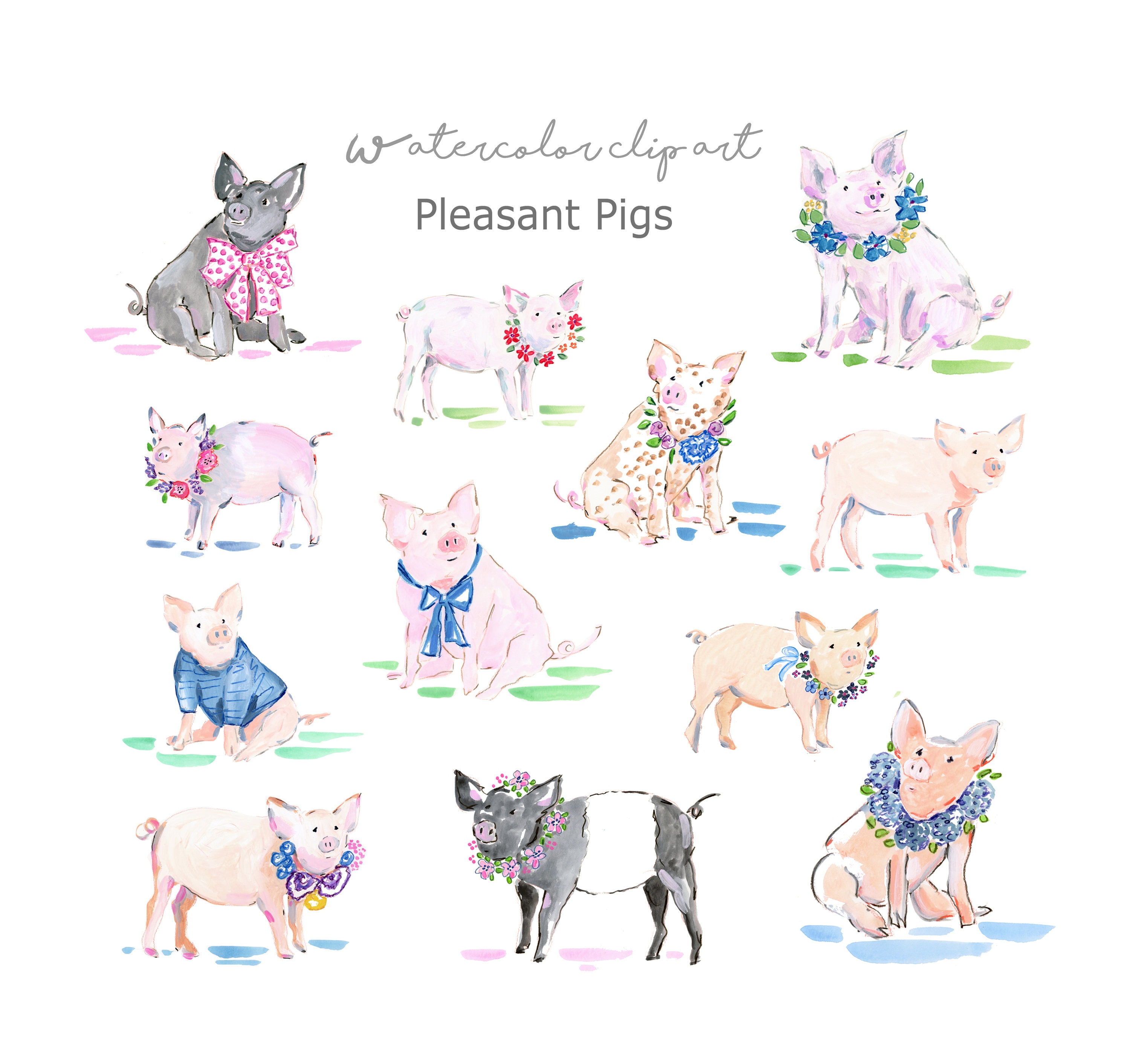 Watercolor Pigs Clip Art Collection Watercolor Pigs Pig | Etsy