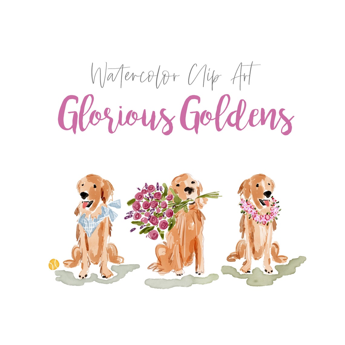 Golden Retriever Dogs Clip Art Collection, Golden Retriever Watercolor ...