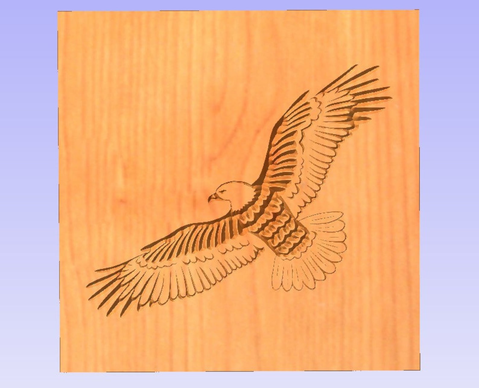 Bald Eagle 2.5 D CNC Router G Code Cut File Immediate Instant Download ...