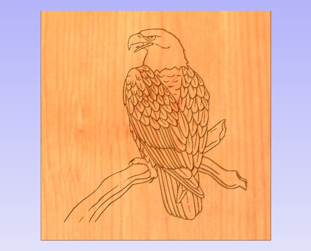 Bald Eagle 2.5 D CNC Router G Code Cut File Immediate Instant Download ...
