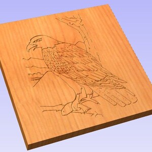 Bald Eagle 2.5 D CNC Router G Code Cut File Immediate Instant Download ...