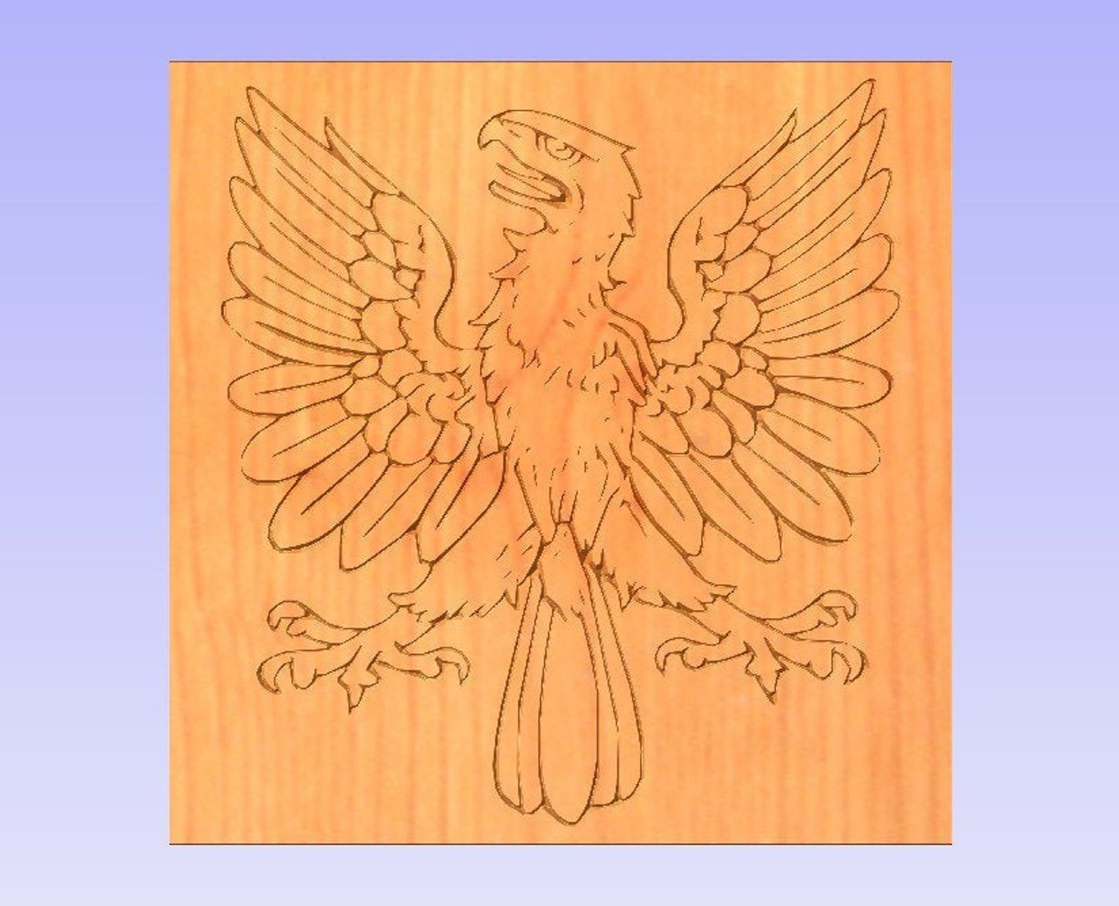 Bald Eagle 2.5 D CNC Router G Code Cut File Immediate Instant Download ...