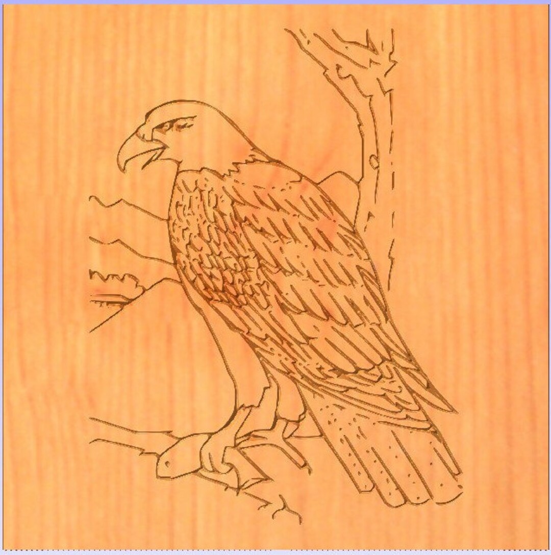 Bald Eagle 2.5 D CNC Router G Code Cut File Immediate Instant - Etsy