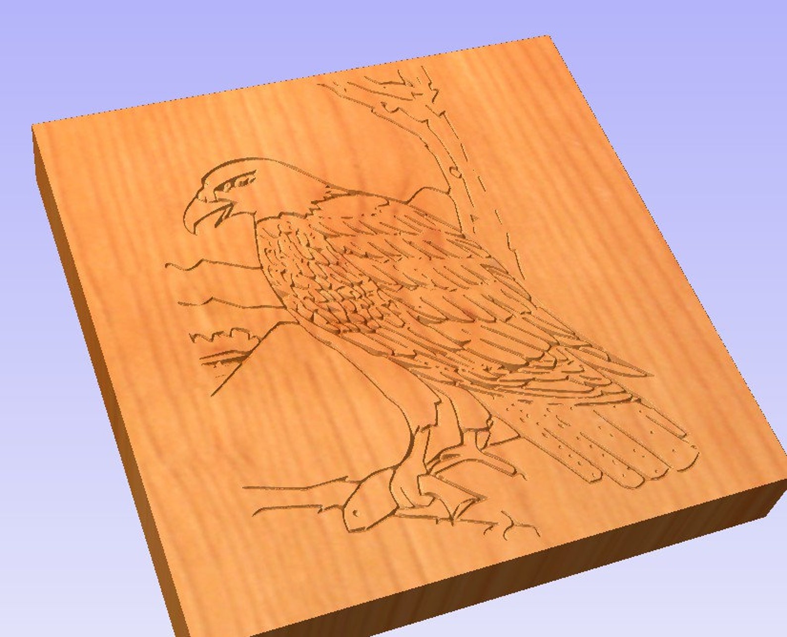 Bald Eagle 2.5D 5" X 5" G Code Cut File Immediate Instant Download Good ...
