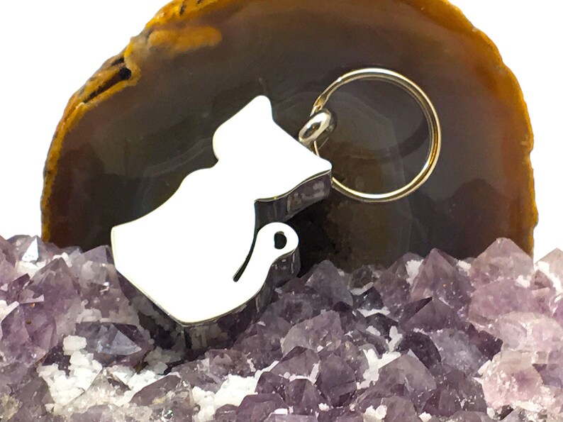 Keyring Keychain Cat Cremation Urn for Ash Pendant Necklace Chain Key ...