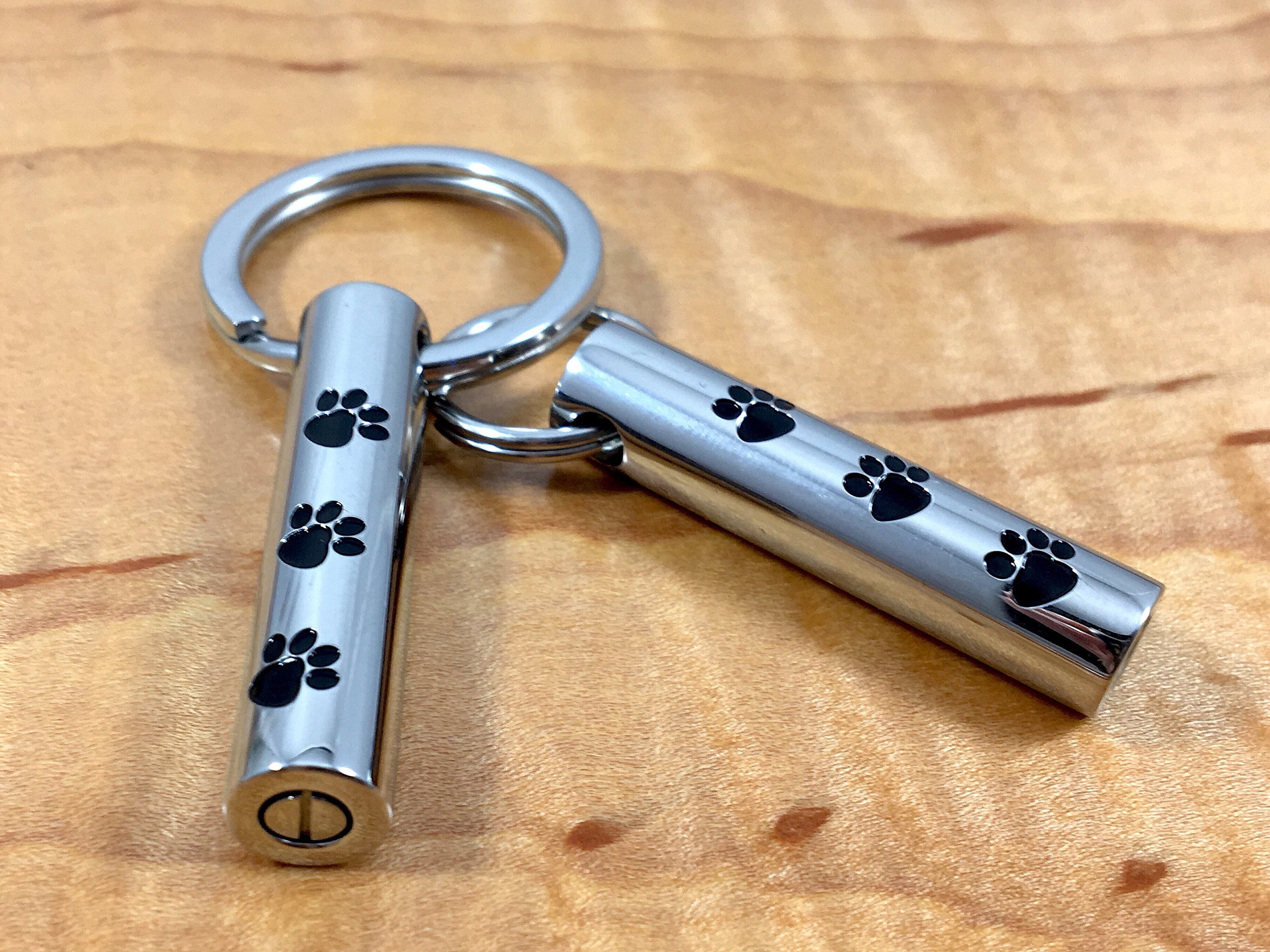 Mens Ladies Cremation Key Ring Chain Jewelry Urn for Pet Ashes Paw ...