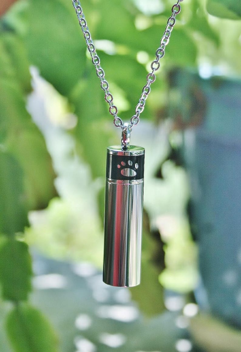 Mens Pet Cremation Key Chain Ring Urn for Ashes LARGE VIAL Paw | Etsy
