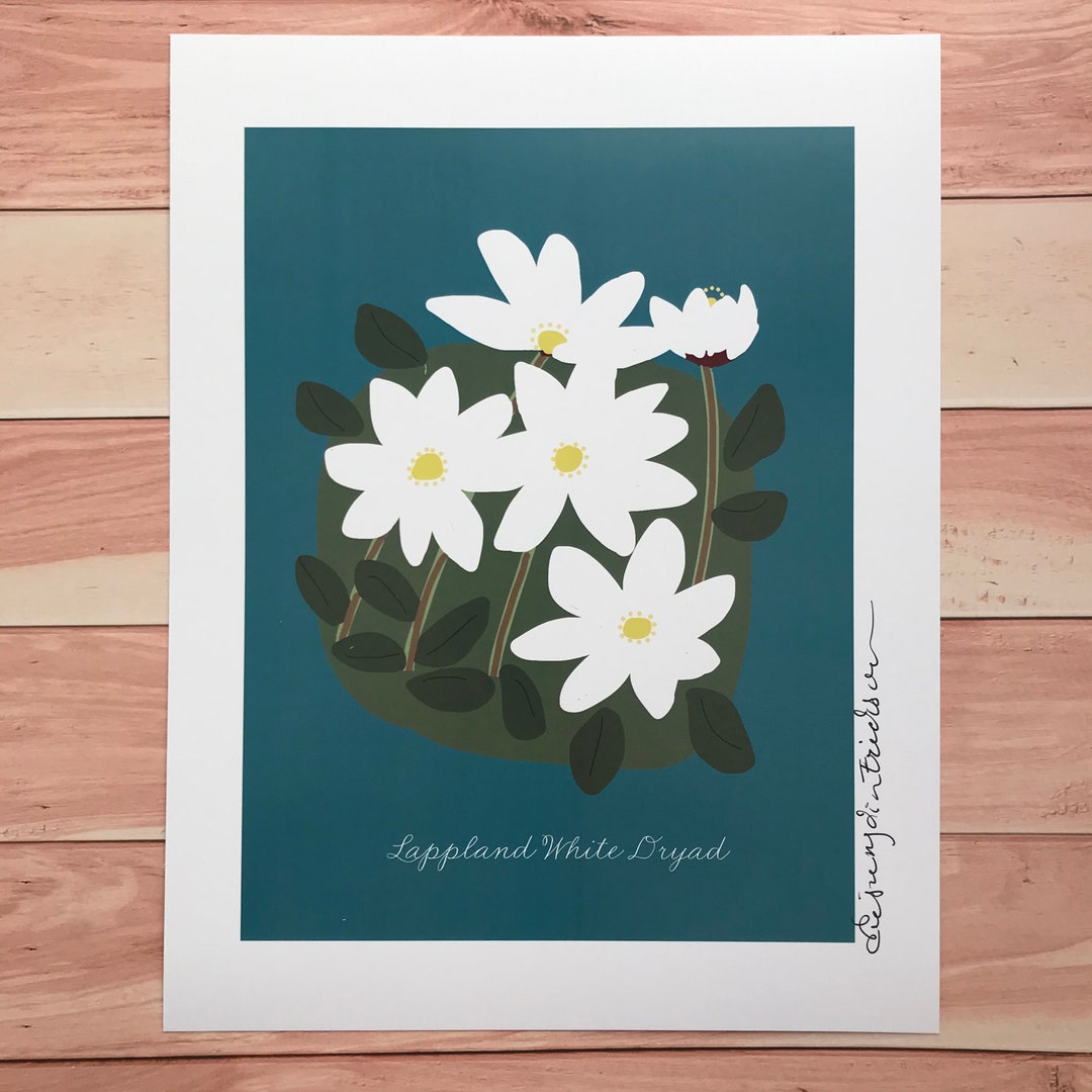 White Dryad, Lappland Art, Flower Print, Floral Wall Decor, Botanical ...