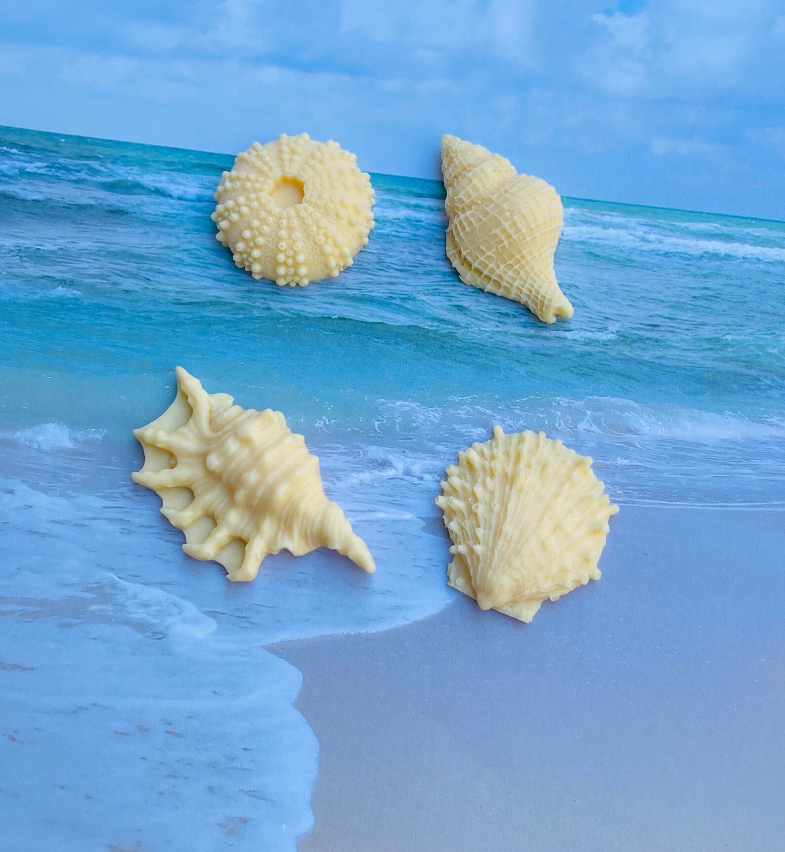 Seashell Soaps Seashell Soaps Set Eucalyptus Soap Set Beach Theme Soaps ...
