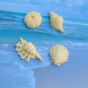 Seashell Soaps - Seashell Soaps Set - Eucalyptus Soap Set - Beach Theme ...