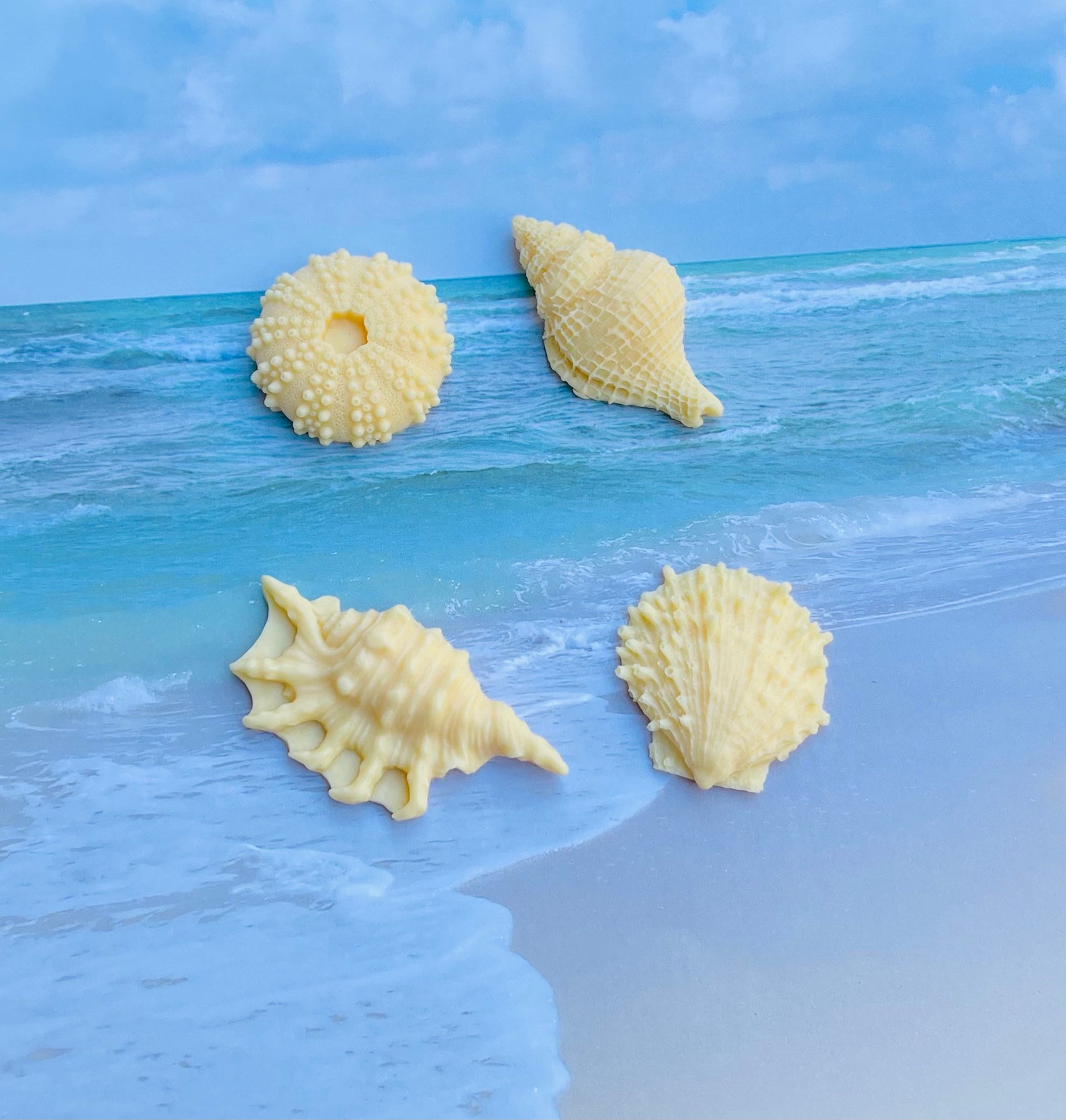 Seashell Soaps Seashell Soaps Set Eucalyptus Soap Set Beach Theme Soaps ...