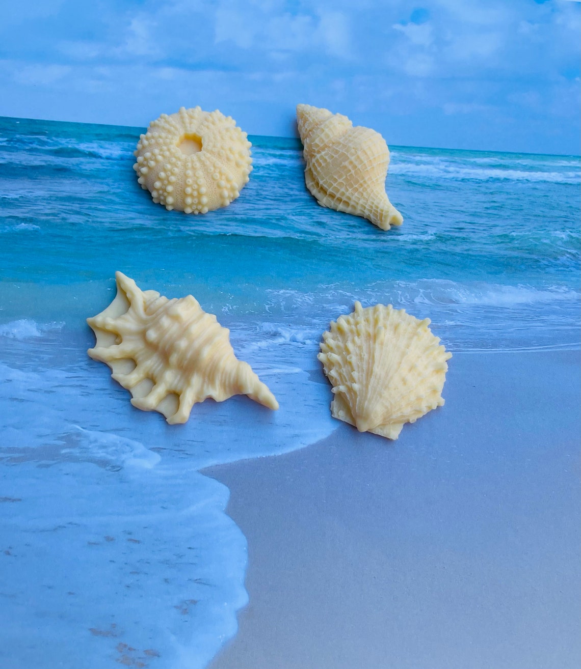 Seashell Soaps Seashell Soaps Set Eucalyptus Soap Set - Etsy