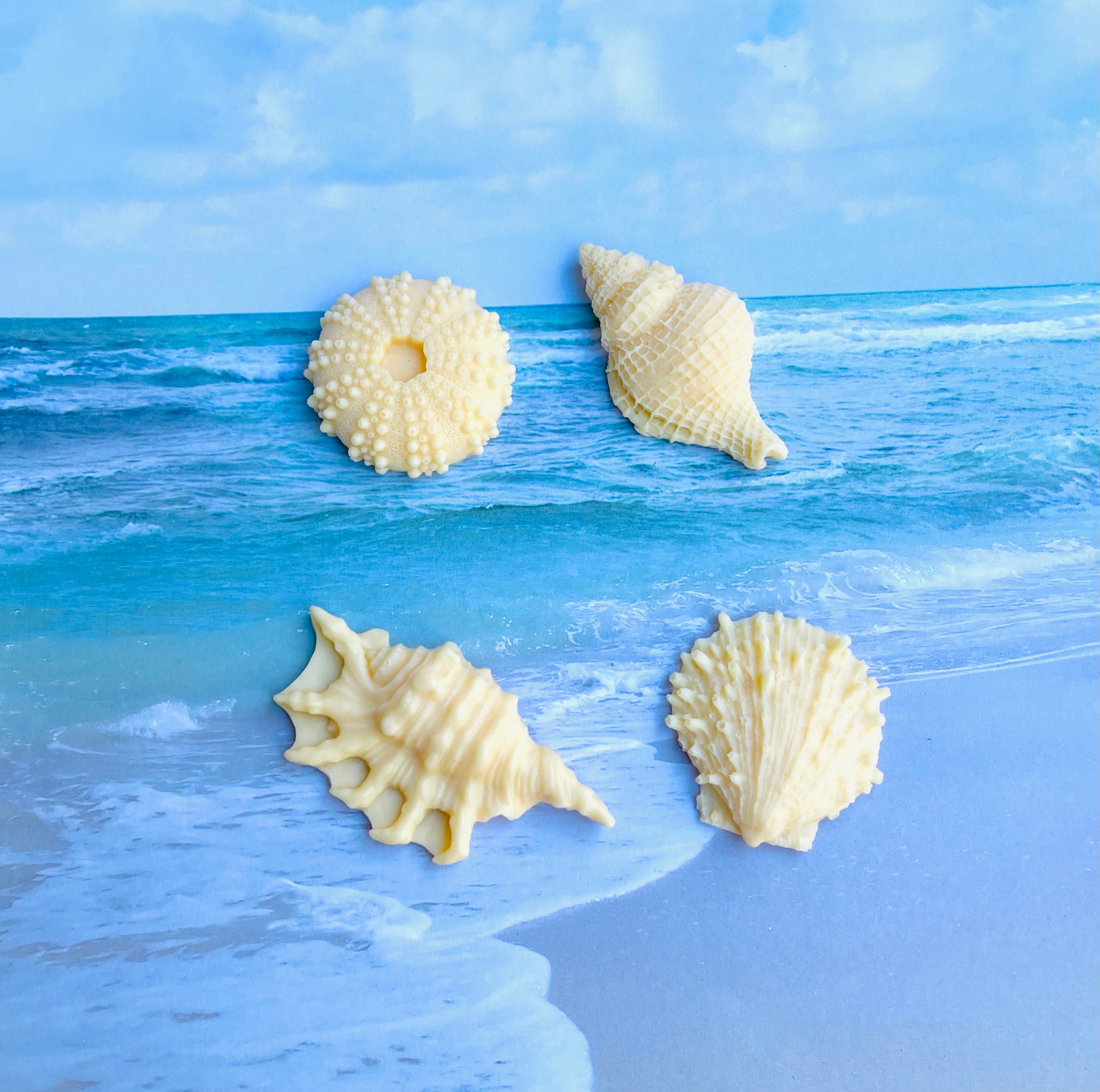 Seashell Soaps Seashell Soaps Set Eucalyptus Soap Set Beach Theme Soaps ...