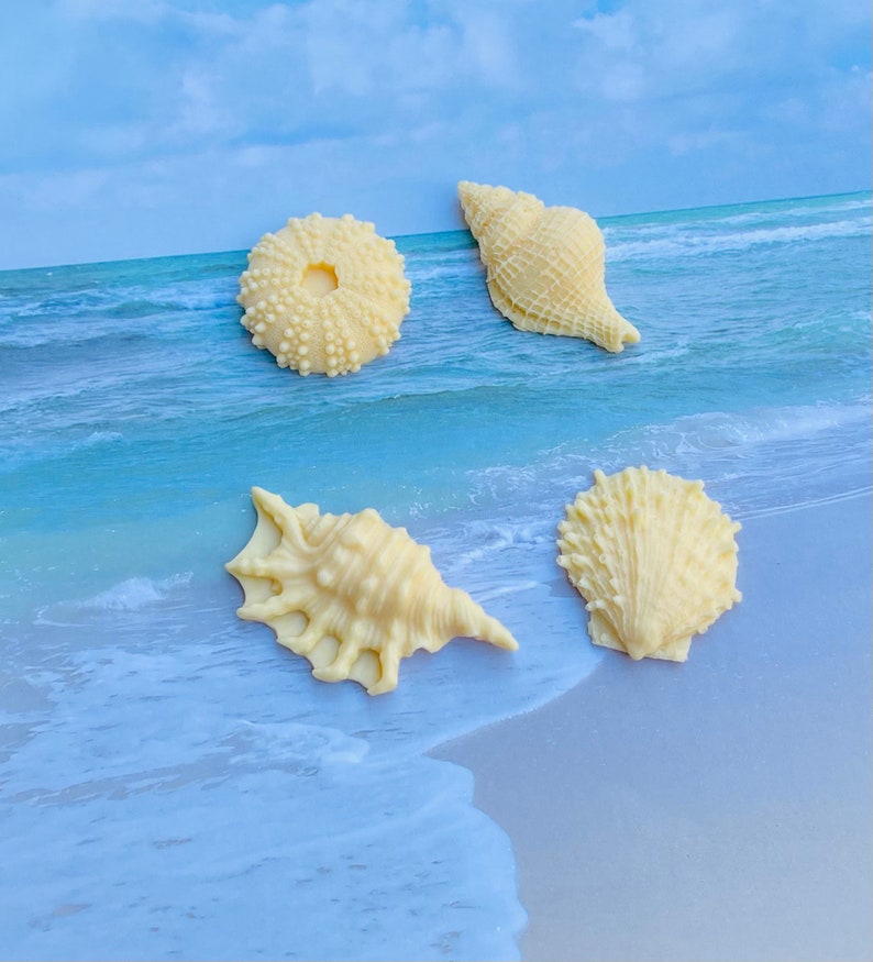Seashell Soaps Seashell Soaps Set Eucalyptus Soap Set Beach Theme Soaps ...
