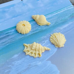 Seashell Soaps - Seashell Soaps Set - Eucalyptus Soap Set - Beach Theme ...
