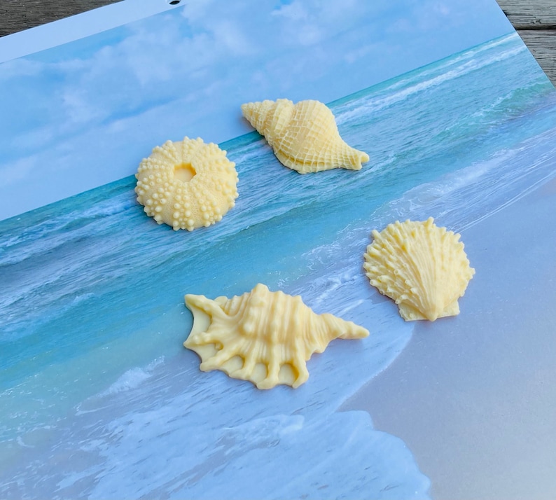 Seashell Soaps Seashell Soaps Set Eucalyptus Soap Set Beach Theme Soaps ...