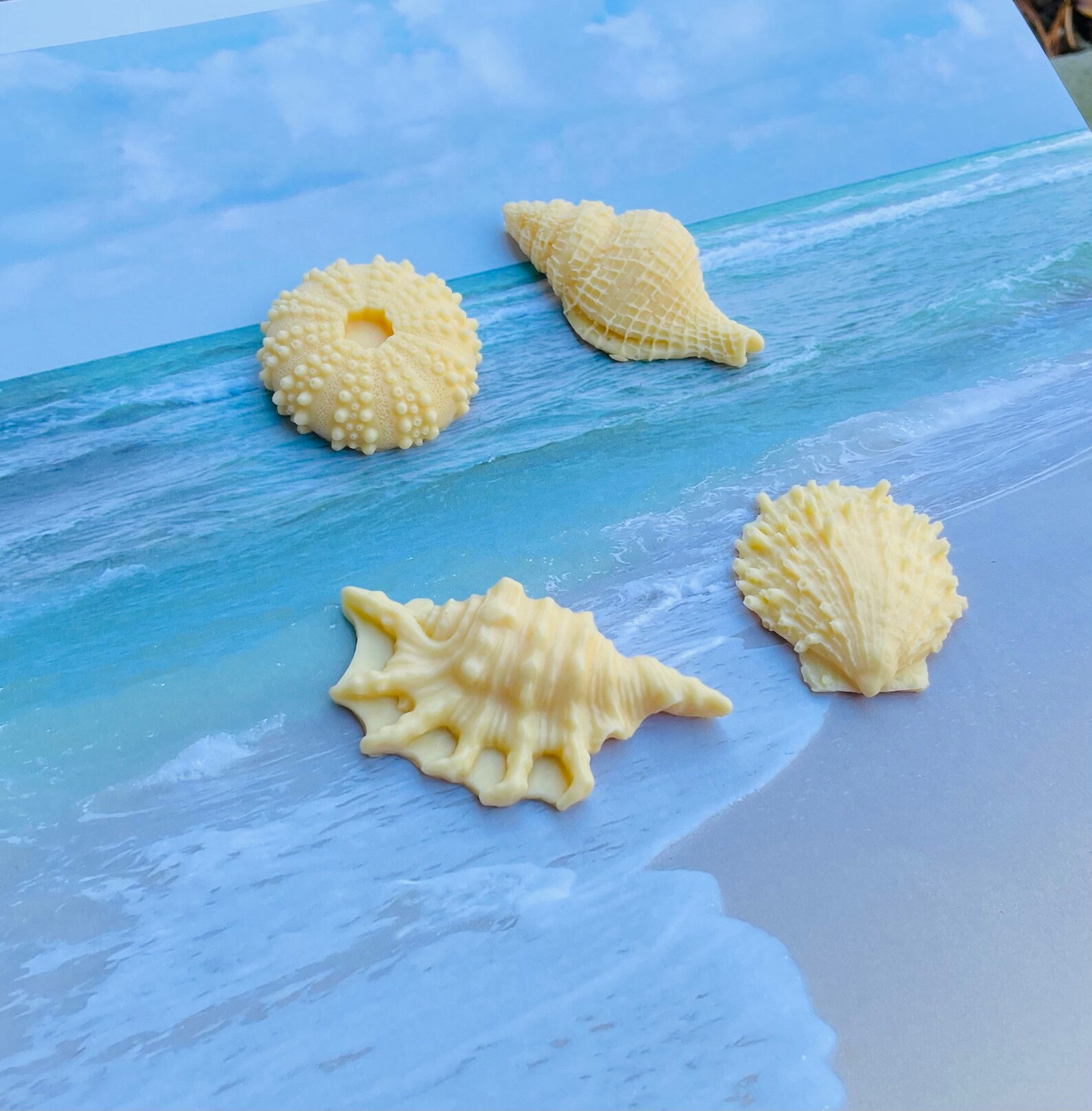 Seashell Soaps Seashell Soaps Set Eucalyptus Soap Set Beach Theme Soaps ...