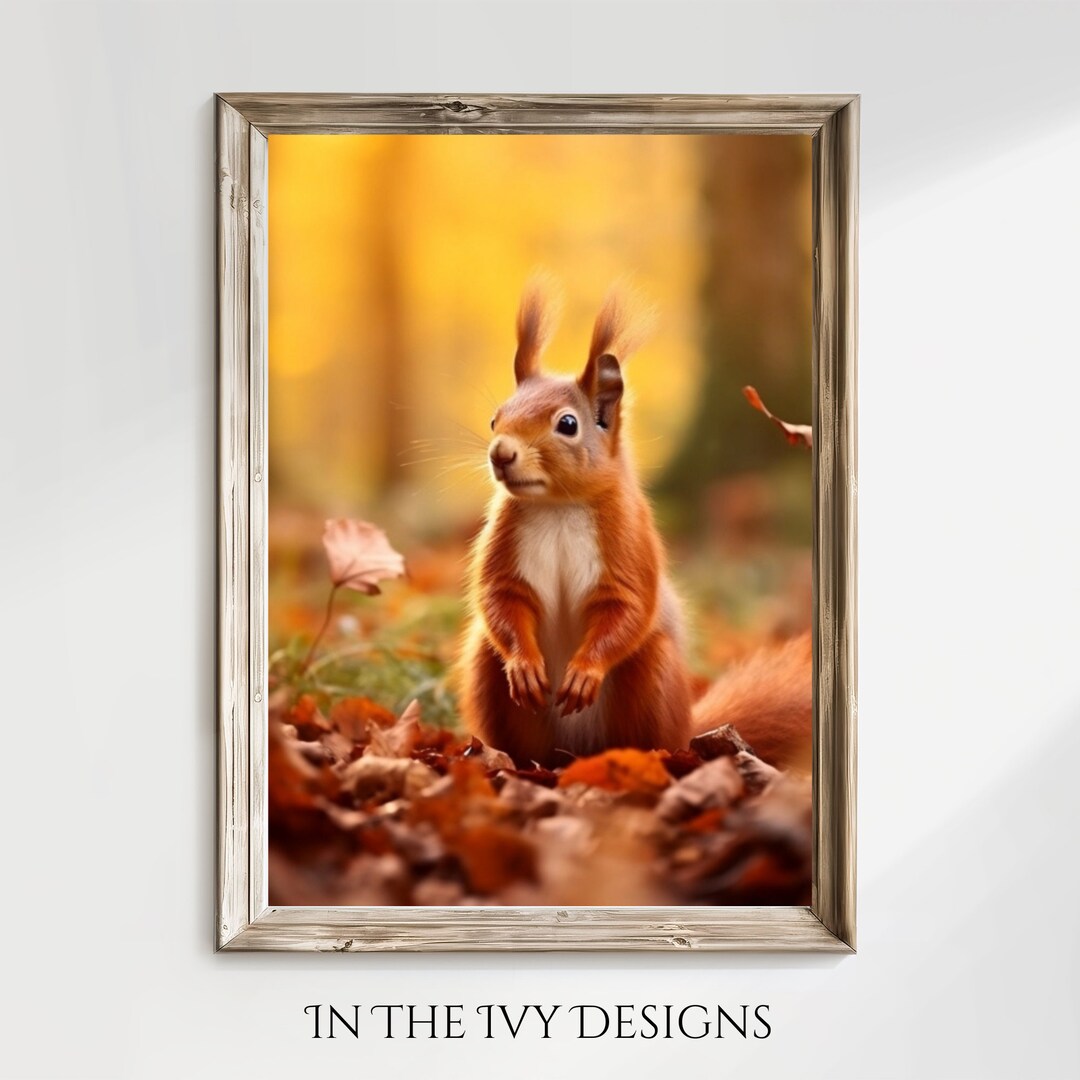 Red Squirrel Squirrel Poster Squirrel Wall Poster Animal Art Work ...