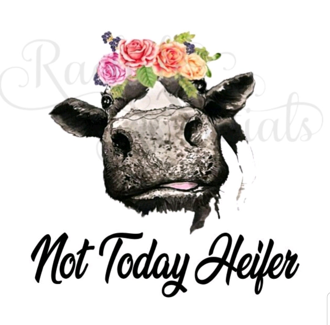 Not Today Heifer Jpg - Etsy