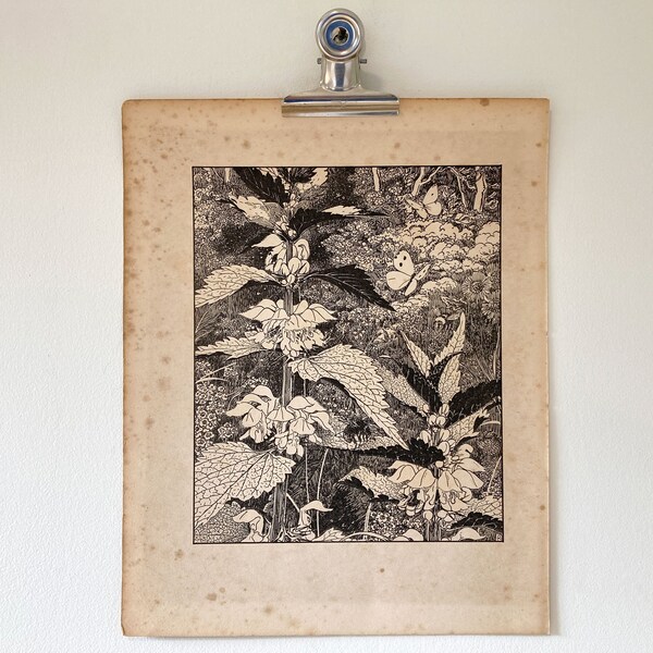 1970 Original Vintage Illustration / Aesop's Fables / the Old Man and ...