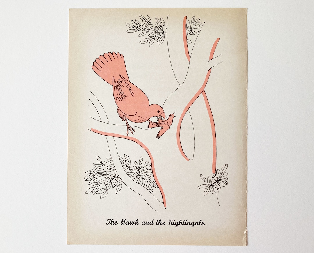 1970 Original Vintage Illustration / Aesop's Fables / the Hawk and the ...