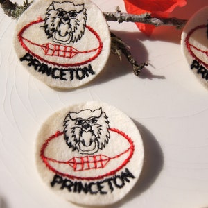 Princeton Football Vintage Applique Patches, Badge Embroidery Appliques ...