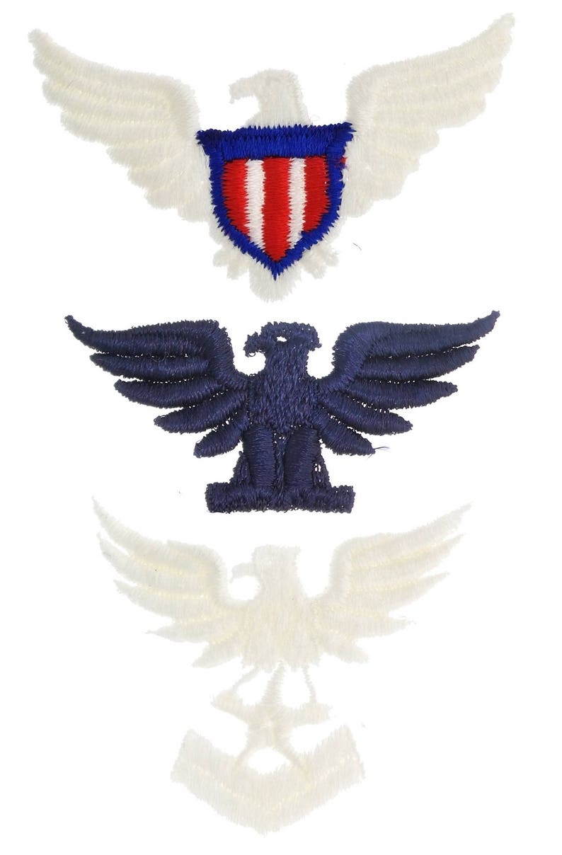 Patriotic American Eagle Patch Embroidered Navy White Bald Eagle ...