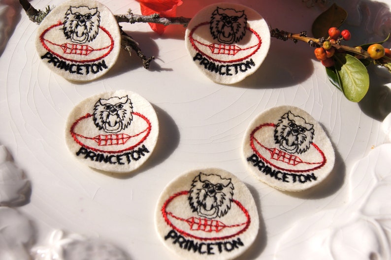 Princeton Football Vintage Applique Patches, Badge Embroidery Appliques ...