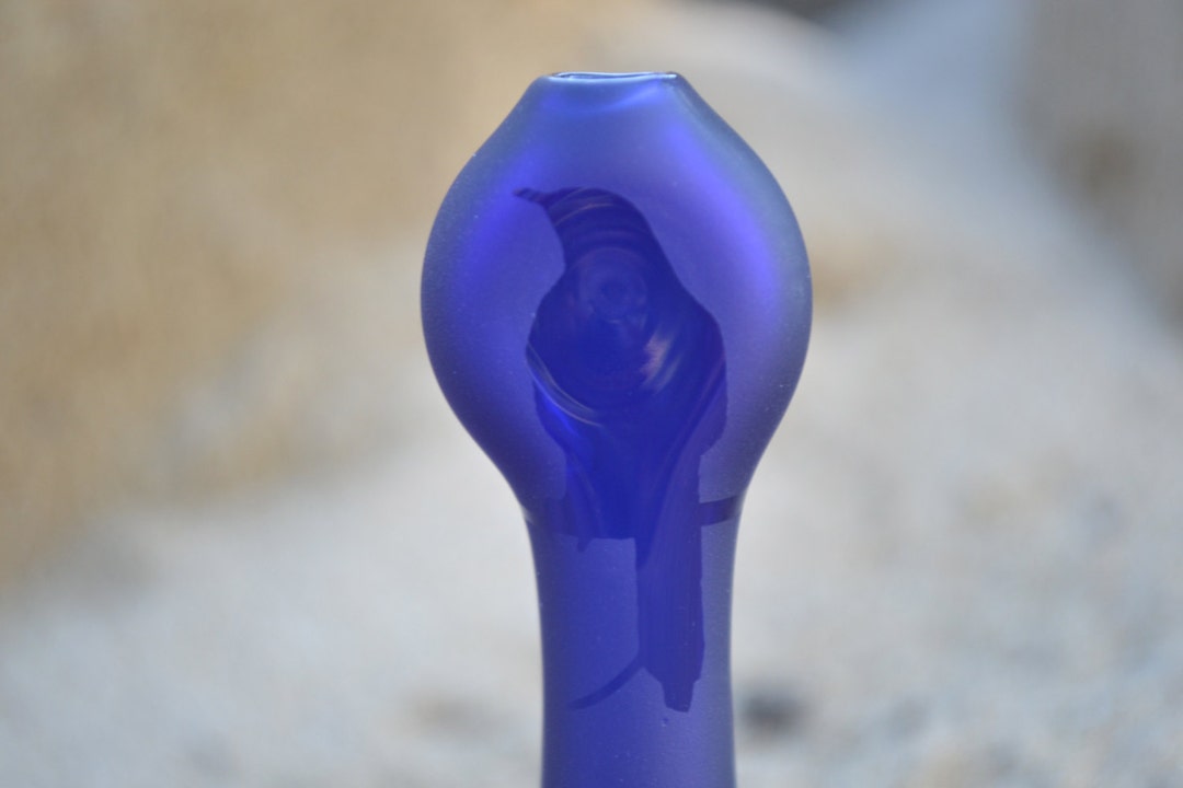 Glass Pipe, Pipes, Bird Pipe, Blue Pipes, Sand Etched Pipe, Sandblasted ...
