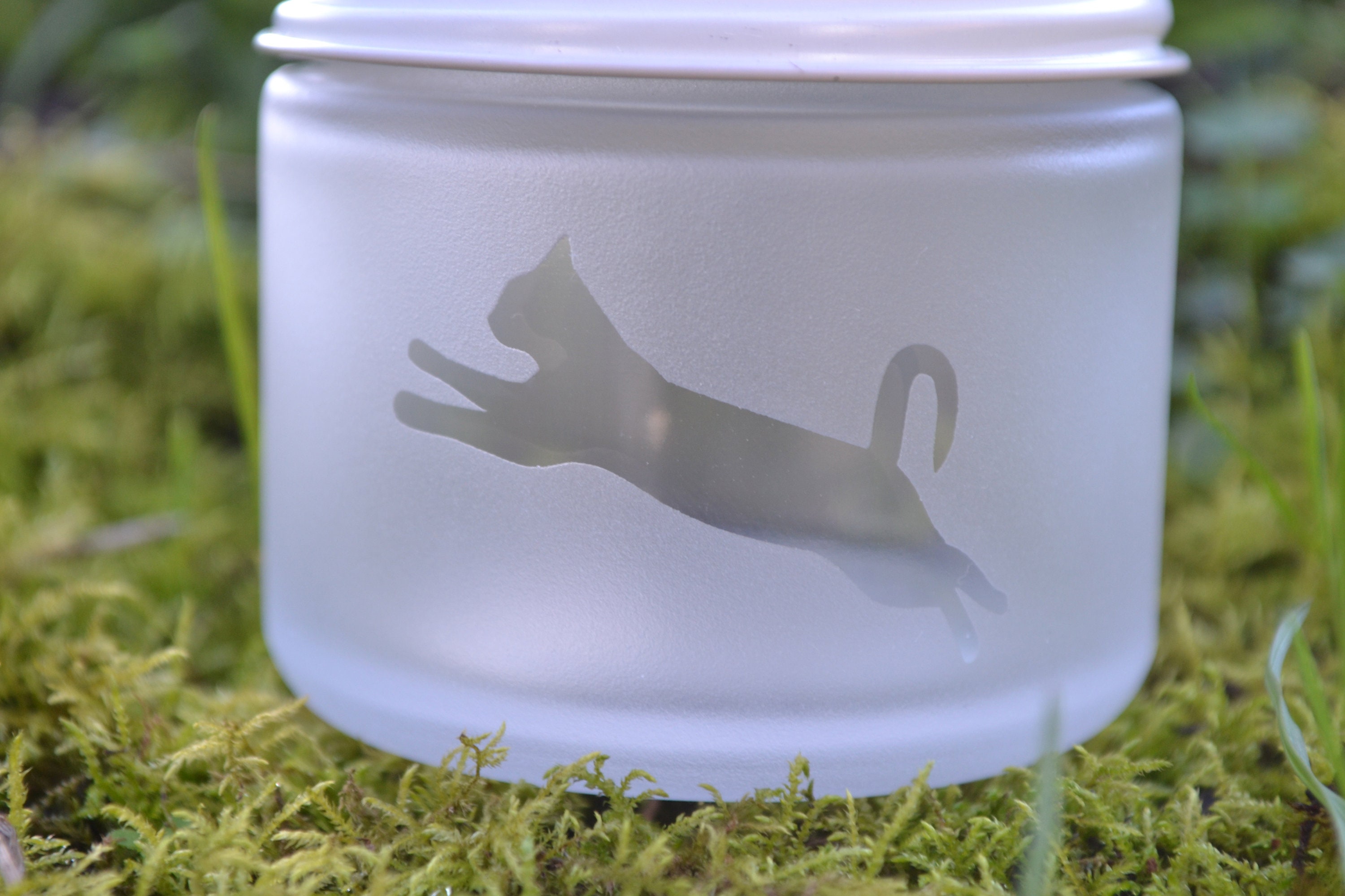 Glass Jars Little Glass Jar Small Glass Jar Kitty Cat - Etsy