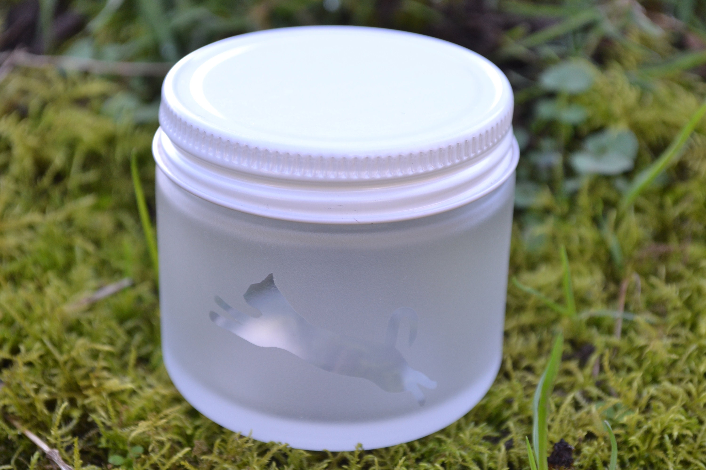 Glass Jars Little Glass Jar Small Glass Jar Kitty Cat - Etsy