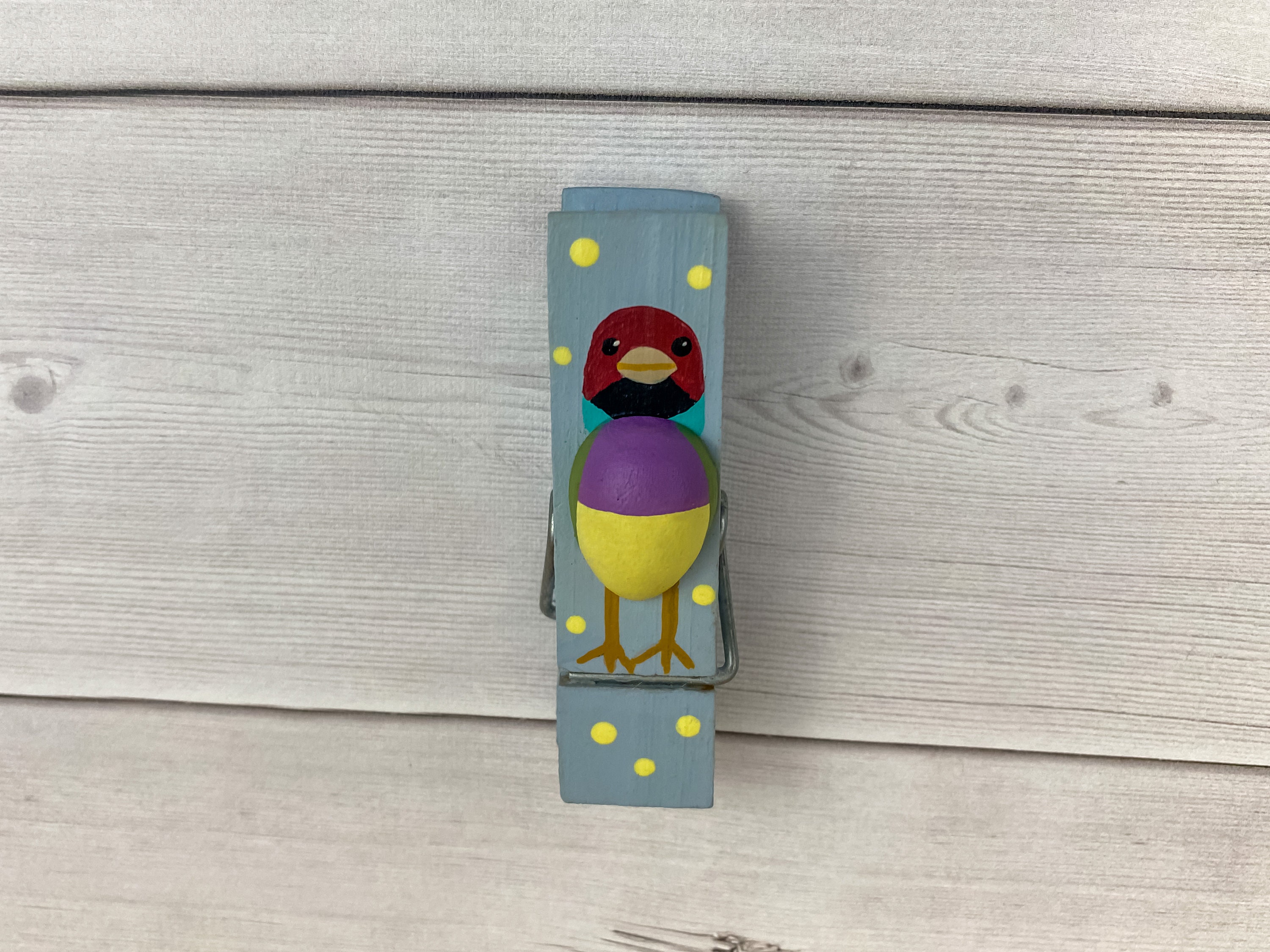 Gouldian Finch Clothespin Magnet | Hand-painted Wooden Magnet to Hold ...