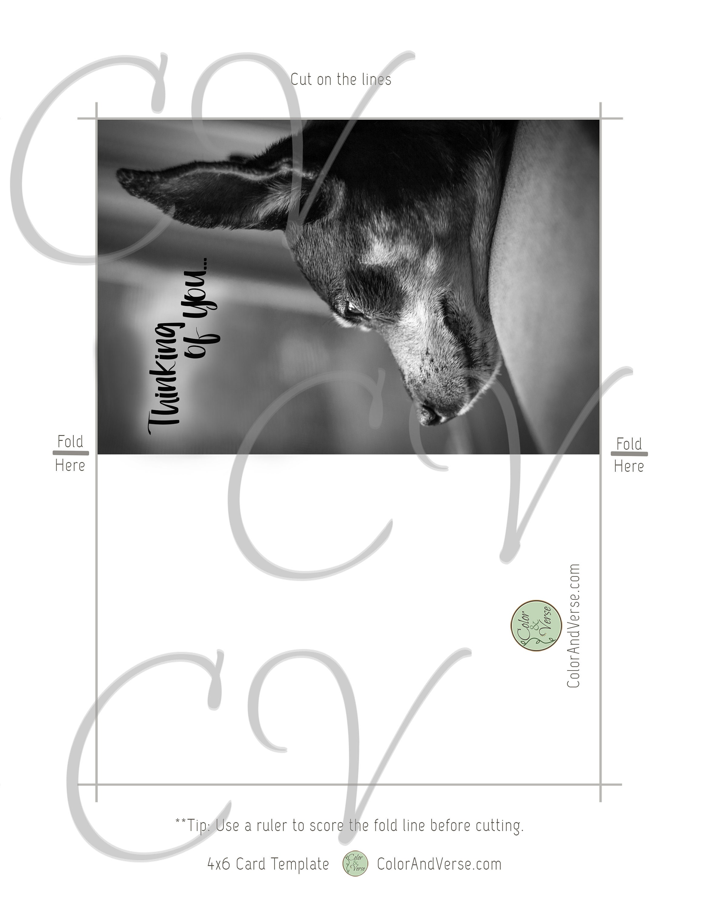 Thinking of You Printable Greeting Card Photo of Dog Looking Out Window ...