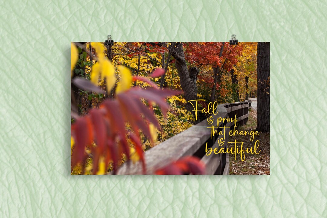 Fall is Proof That Change is Beautiful Poster | Fall Leaves Photo ...